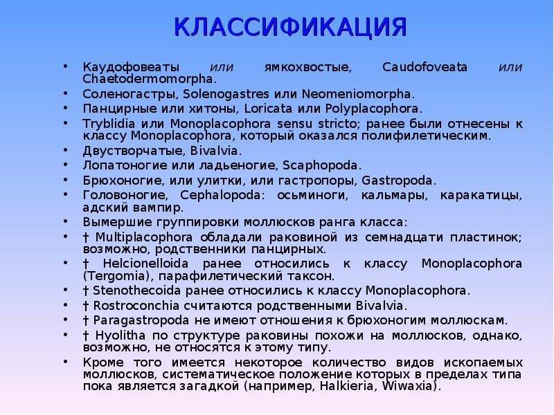 Тип моллюски