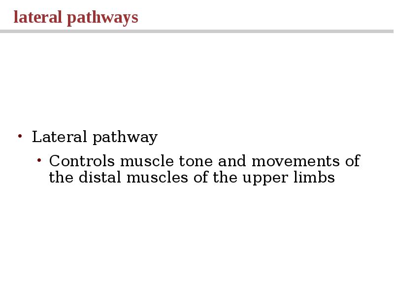 General physiology of receptors system. Somatic sensations: the tactile ...