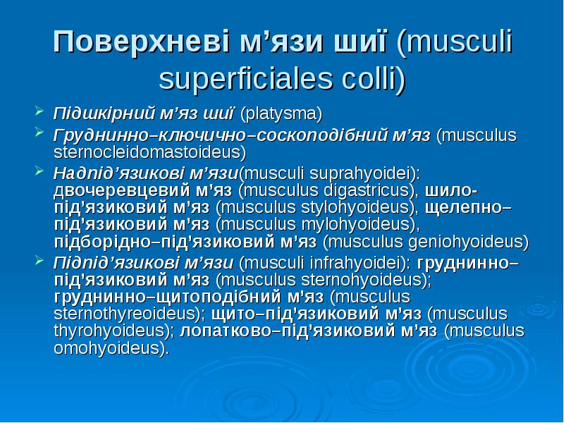 М’язи шиї, голови. Будова, функція