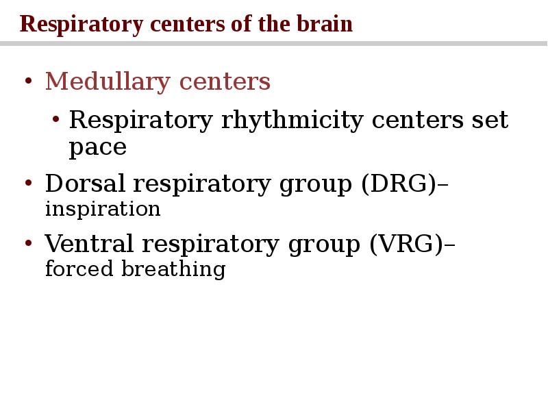 Respiratory system power point