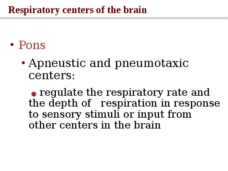 Respiratory system power point
