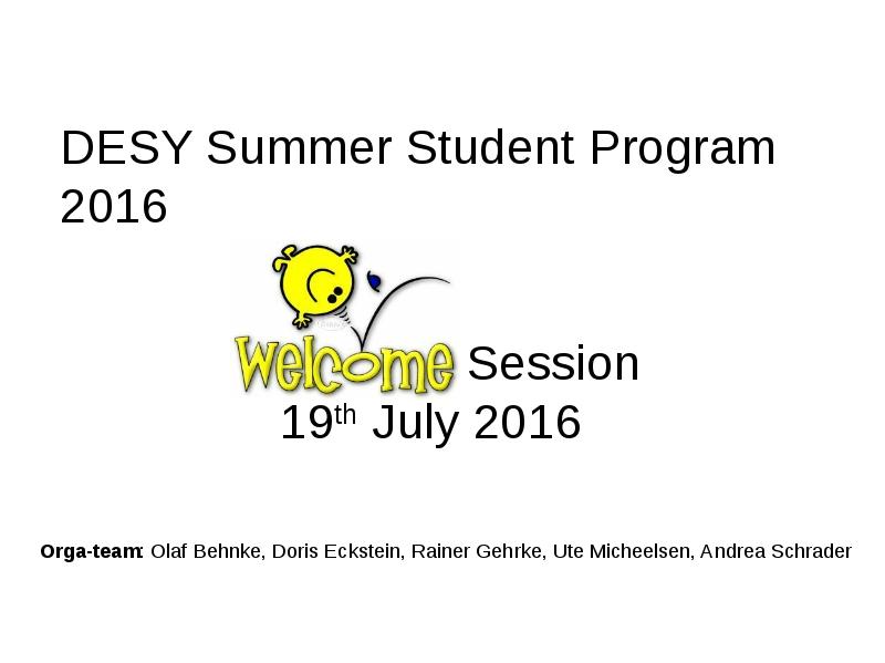 DESY Summer Student Program