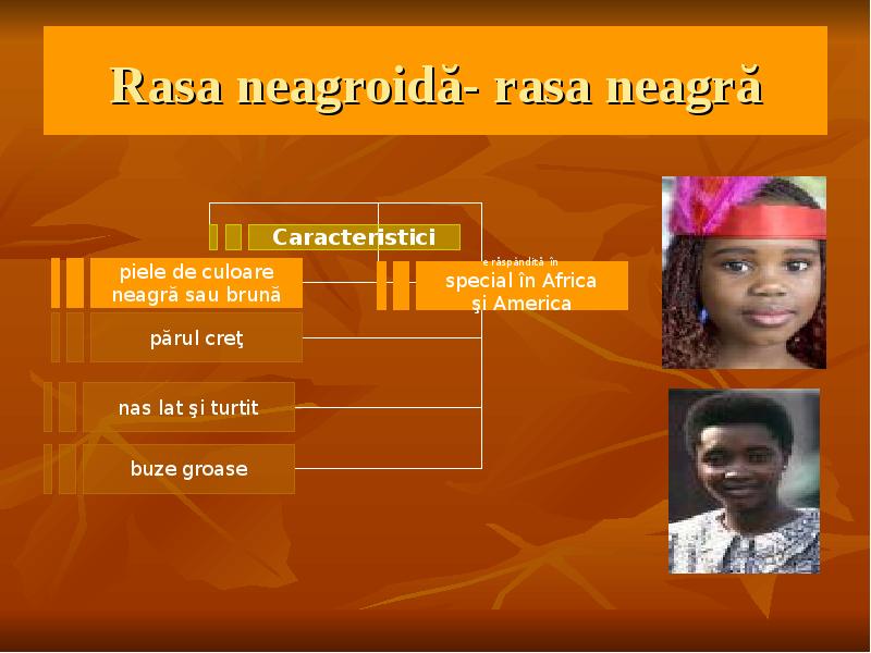 Structura populaţiei