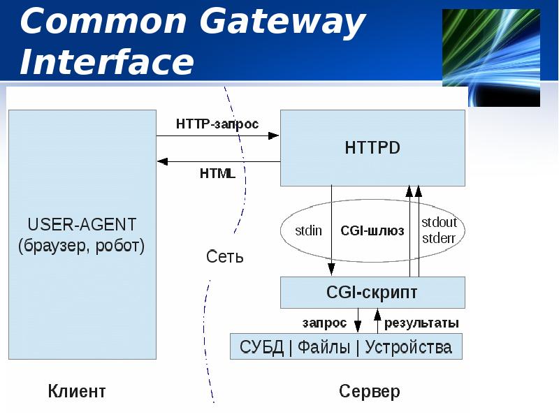 Common Gateway Interface (CGI)
