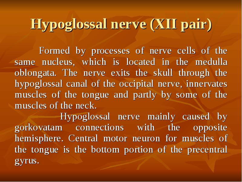 Cranio-cerebral nerves