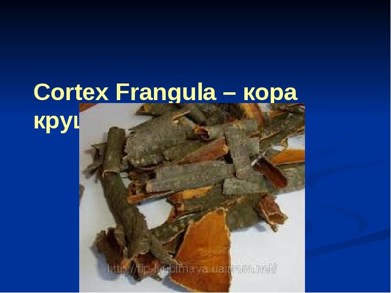 Фармакогнозия. Лекарственное сырье растительного и животного происхождения