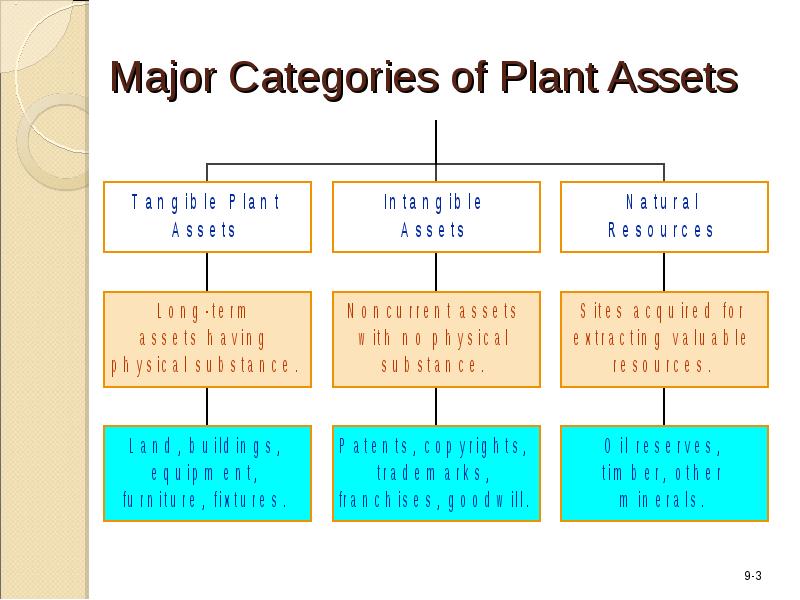 Plant and intangible assets. (Chapter 9)