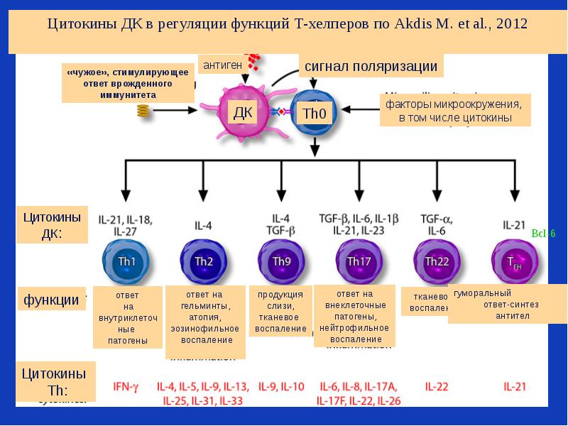Система цитокинов. Классификация. Основные свойства. Механизмы действия