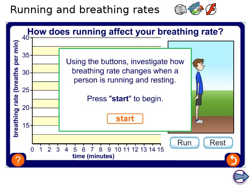 KS4 Biology. The Breathing System