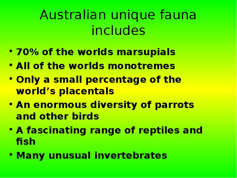 The wild world of Australia