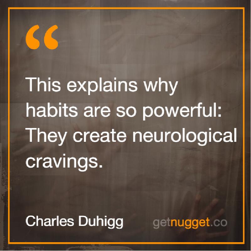 Top 30 Nuggets From the Power of Habits