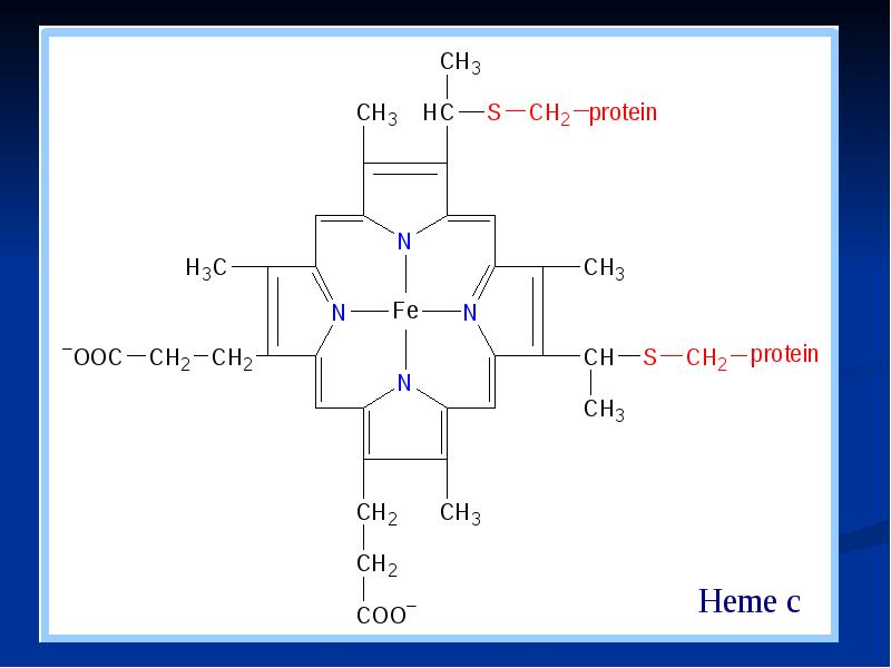 Oxidarea biologica Lantul respirator Fosforilarea oxidativa