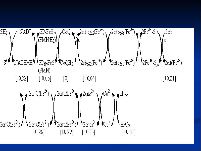 Oxidarea biologica Lantul respirator Fosforilarea oxidativa