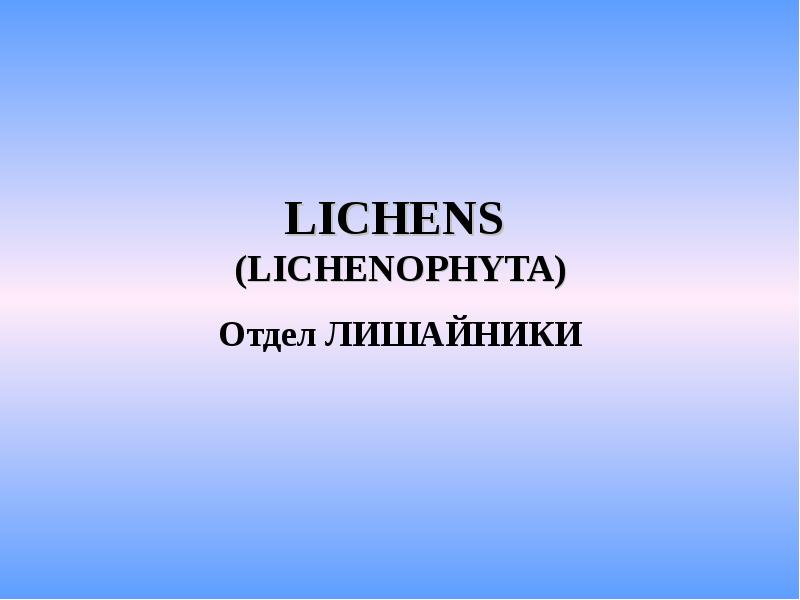 LICHENS (LICHENOPHYTA)