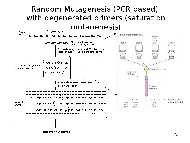 Directed Mutagenesis and Protein Engineering