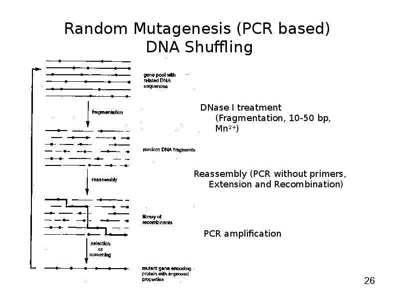 Directed Mutagenesis and Protein Engineering