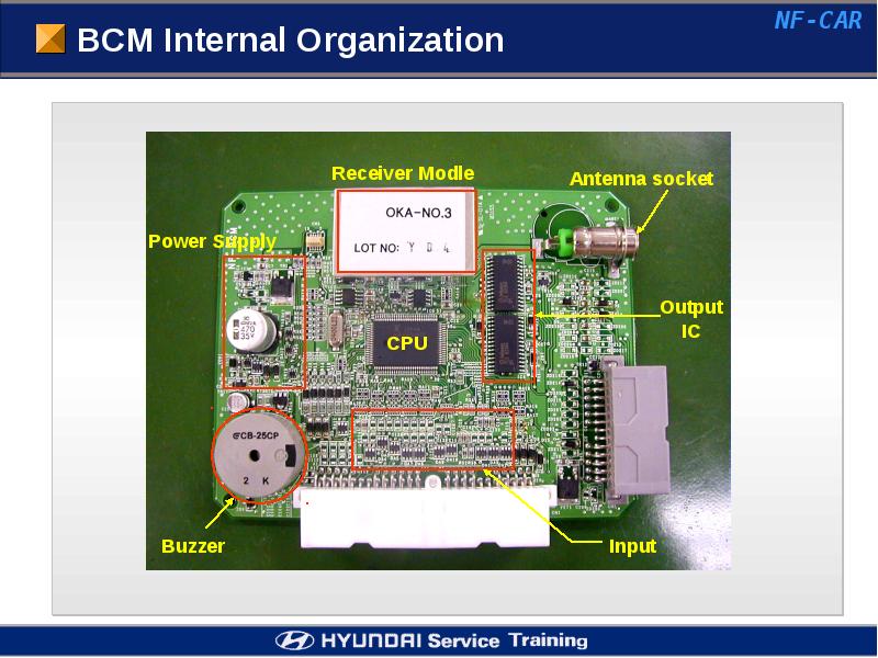 NF Electrical System