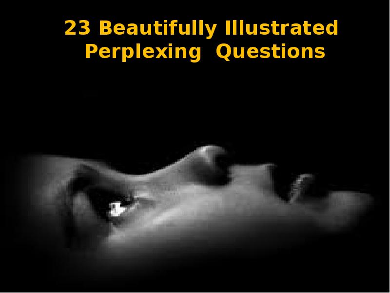 23 Beautifully Illustrated Perplexing Questions