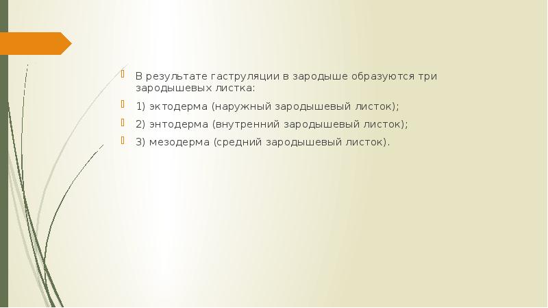 Периоды эмбриогенеза