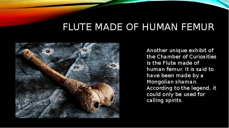 Welcome to my hometown: Saint Petersburg