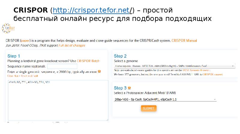 CRISPR / Cas9 система