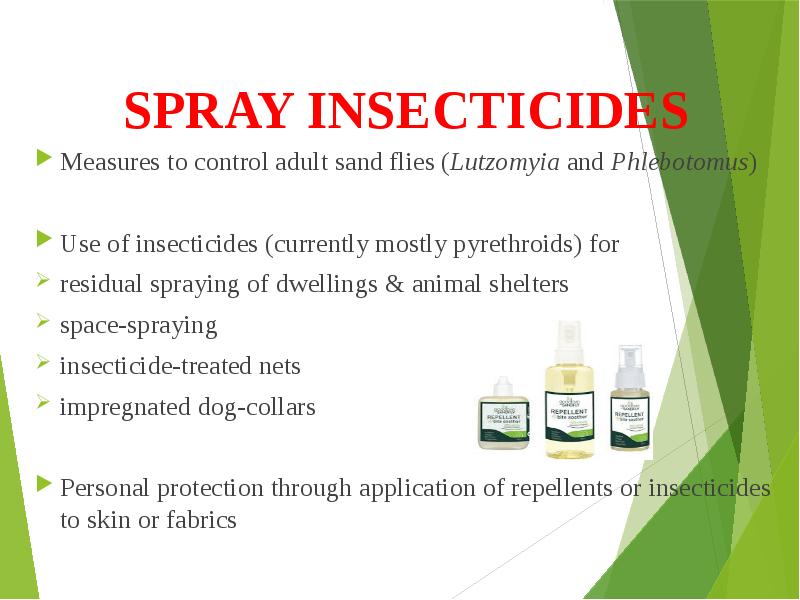 Presentation on SANDFLY - презентация, доклад, проект