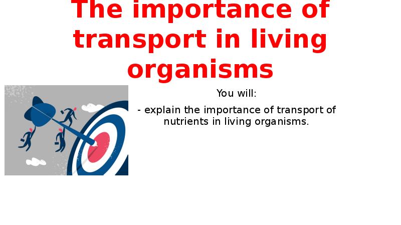 The importance of transport in living organisms