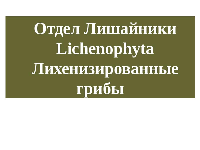Отдел Лишайники Lichenophyta Лихенизированные грибы