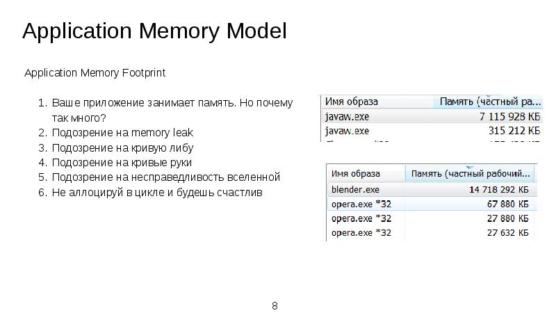 Application Memory Model