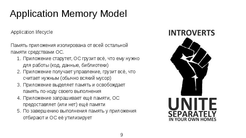 Application Memory Model