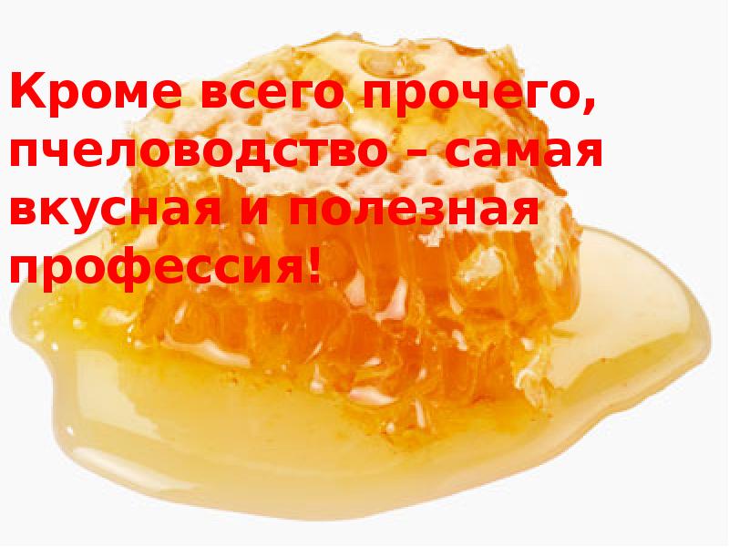 ПЧЕЛОВОДСТВО