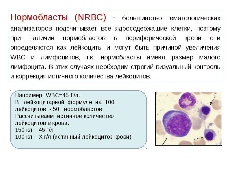 Основные лабораторные показатели оценки эритропоэза, получаемые на