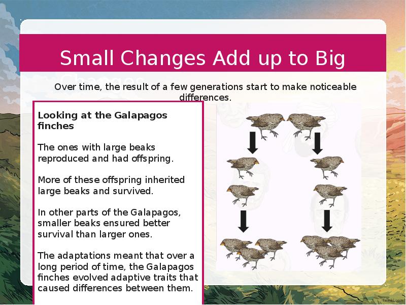 evolution-and-adaptation-powerpoint ve