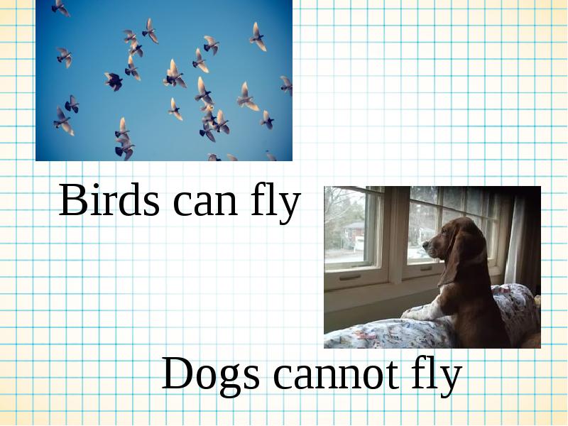 Lesson 37. I can fly