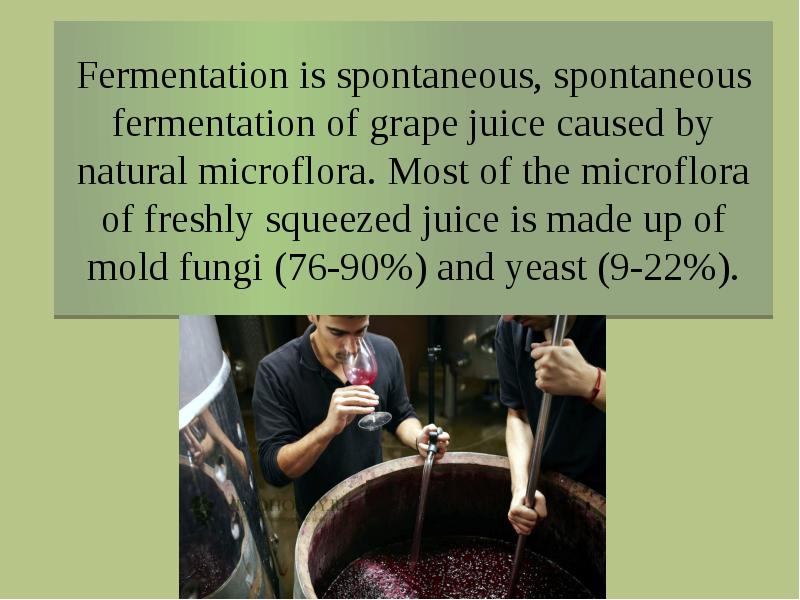 The presentation, titled "Spontaneous and controlled fermentation»