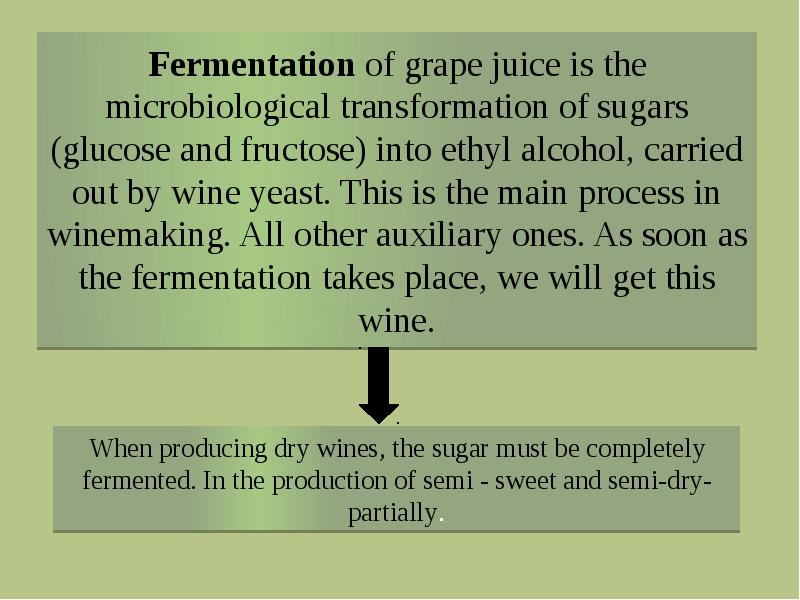 The presentation, titled "Spontaneous and controlled fermentation»