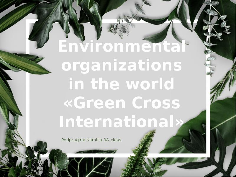 Environmental organizations in the world « Green Cross International
