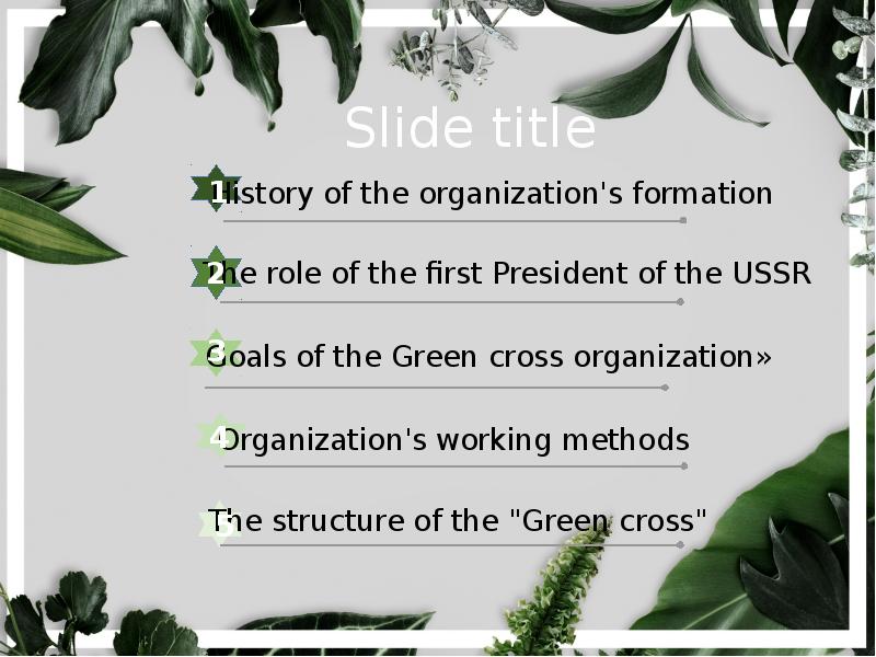 Environmental organizations in the world « Green Cross International