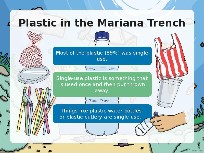 Plastic Pollution in the Deepest Ocean - презентация, доклад, проект