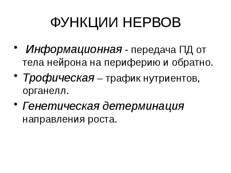 Физиология нервов и нервно-мышечных синапсов