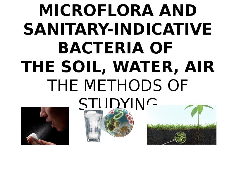 MICROFLORA AND SANITARY-INDICATIVE BACTERIA OF THE SOIL, WATER, AIR THE ...