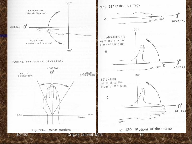 General Musculoskeletal Screening: Upper Extremities