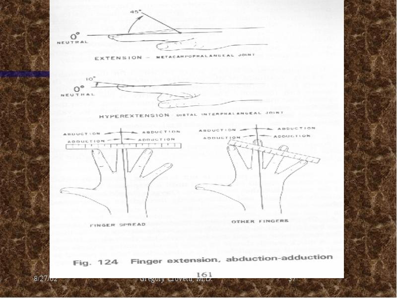 General Musculoskeletal Screening: Upper Extremities
