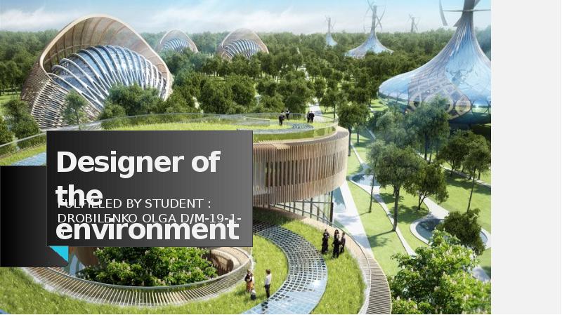 Designer of the environment