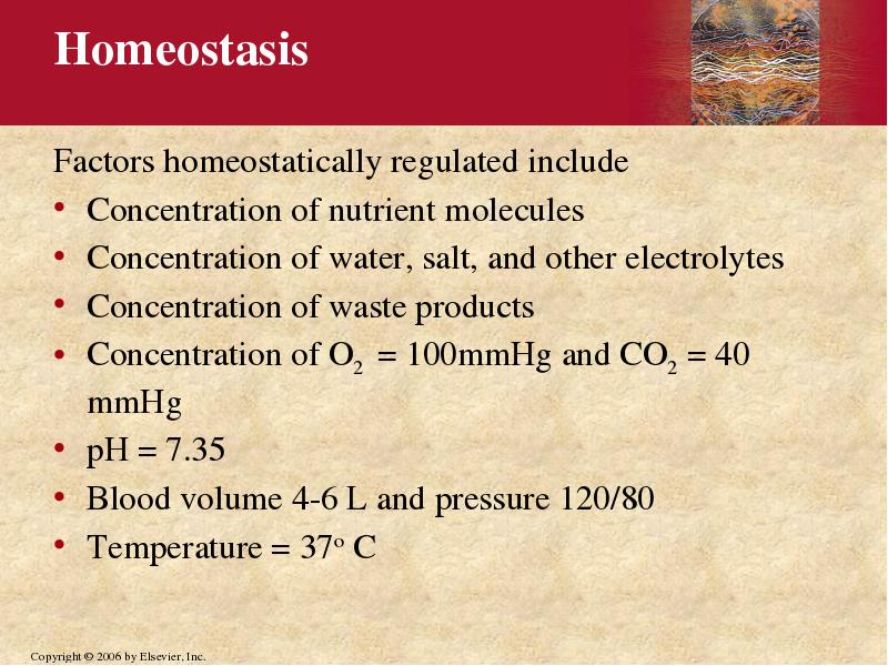 Lecture 01 1) Homeostasis 2) Concept of conformity and regulation 3)
