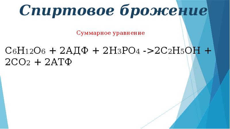 Брожение