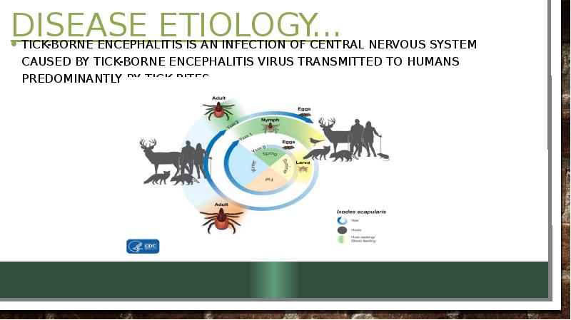 Ticks is the vector of the virus causing Tick-borne encephalitis.“