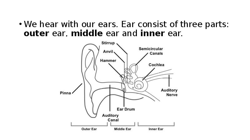 Hearing