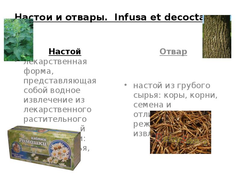 Жидкие лекарственные формы. Особенности использования различных форм