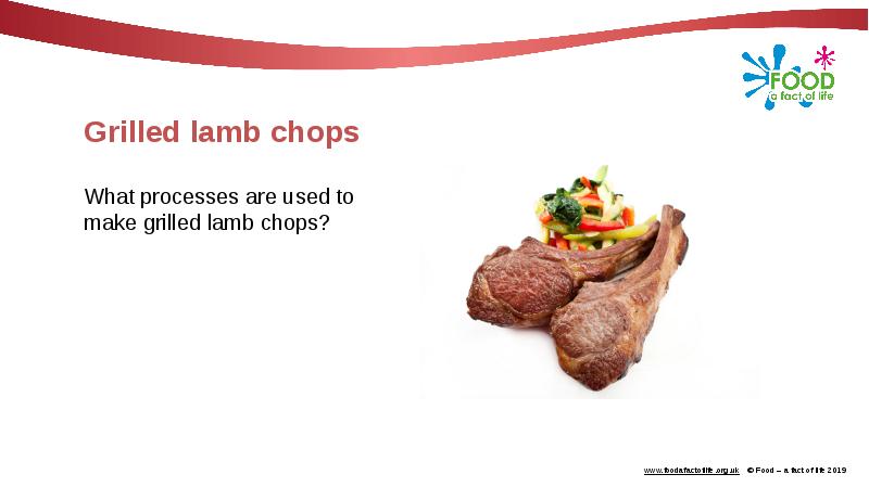 Food – basic processes